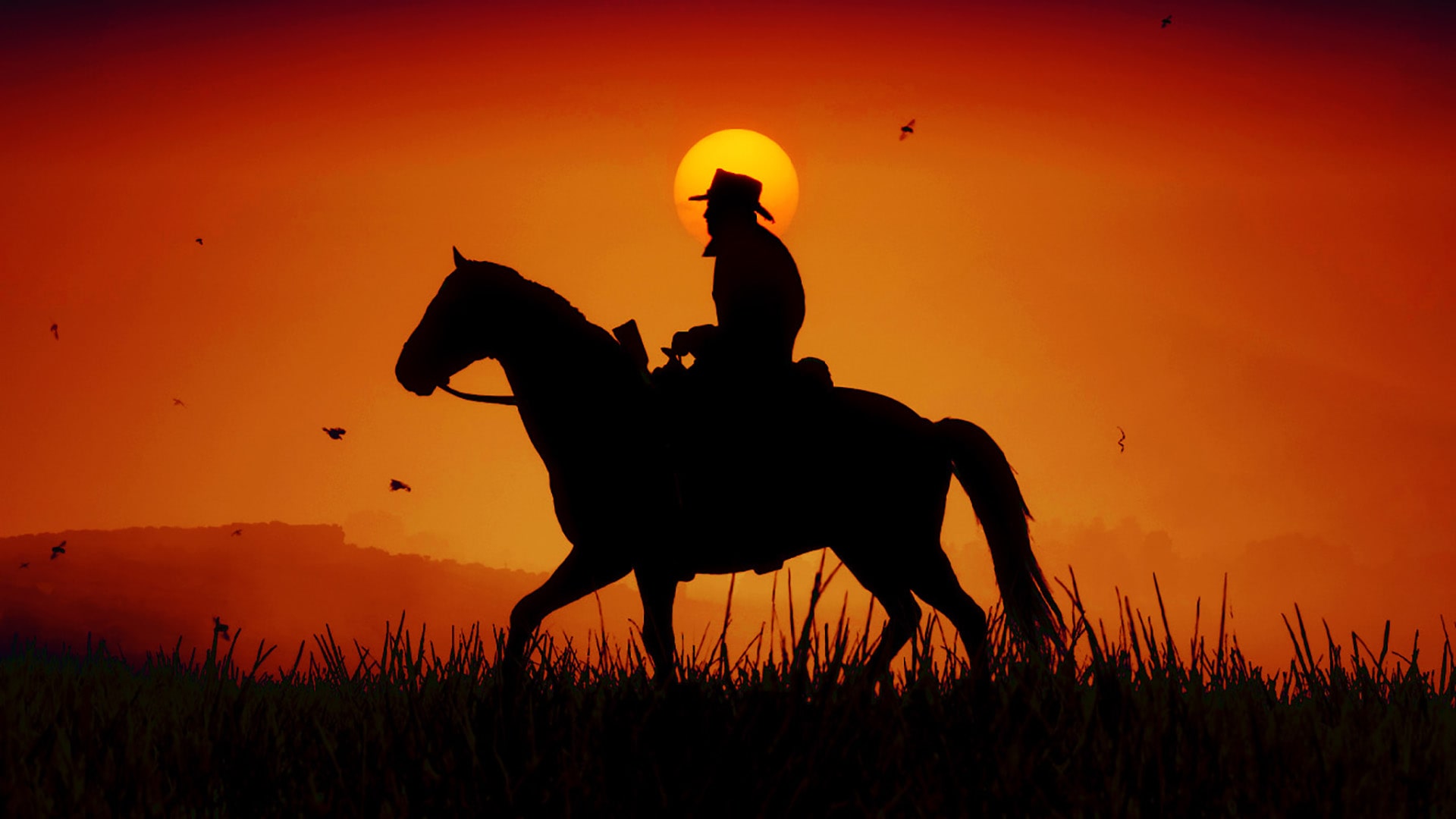  Red Dead Redemption 2 Kiber Swit